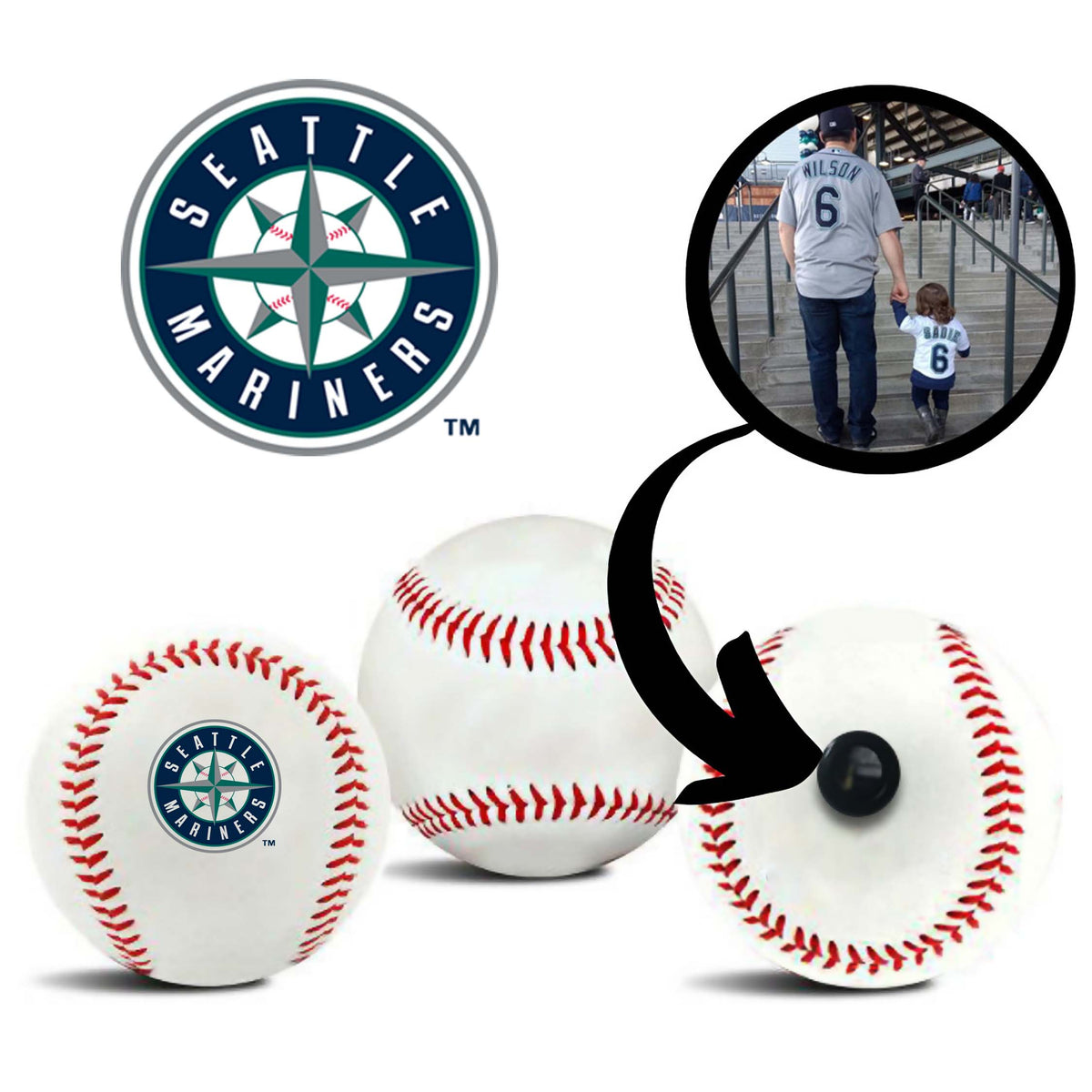 Seattle Mariners MLB Collectible Baseball|Picture Inside|FANZ ...